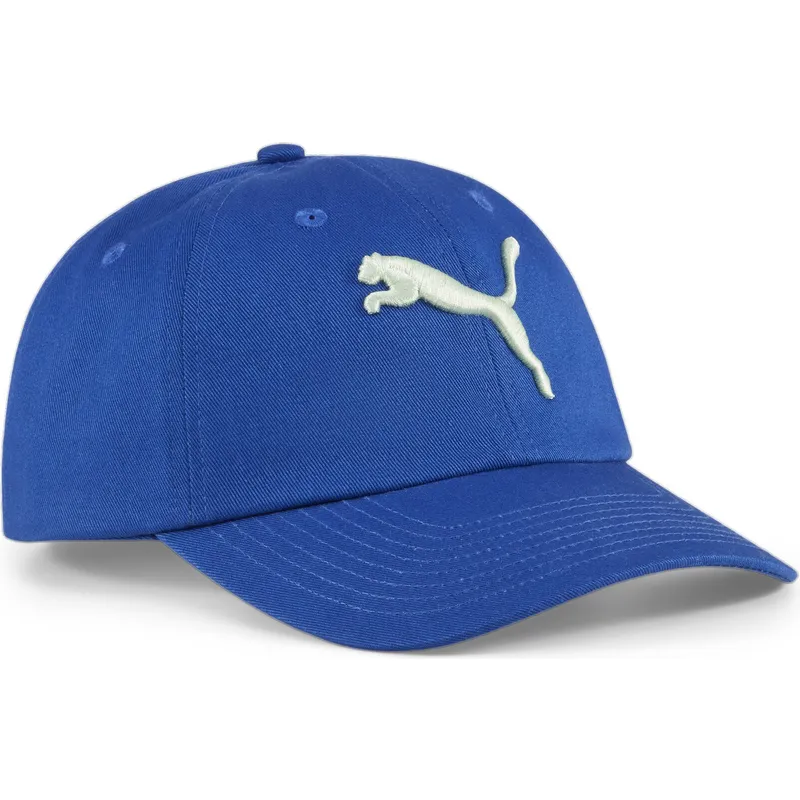 Puma Curved Brim Youth Essentials Cat Logo Blue Adjustable Cap ...